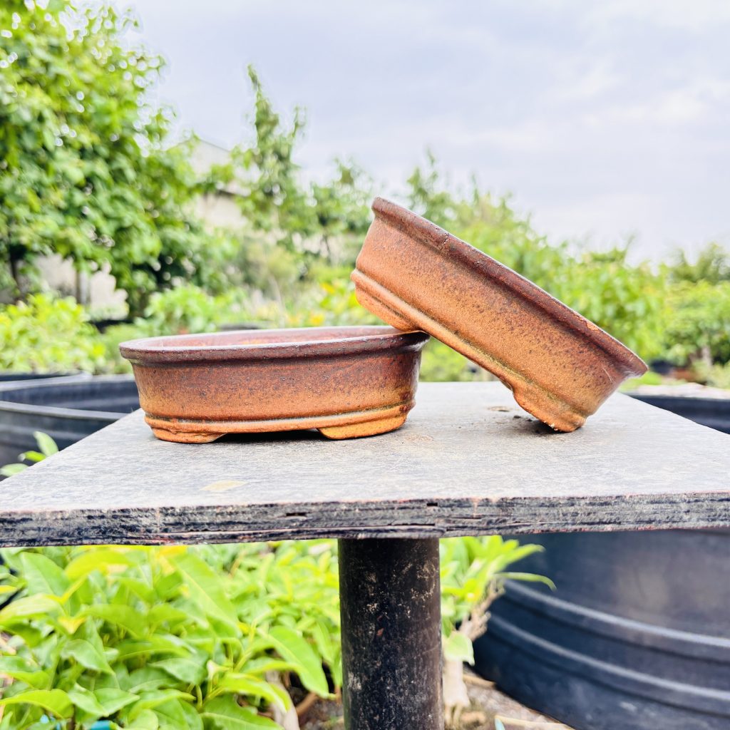 Bonsai Pots | Ceramic Pots | Training Pots | Handmade Bonsai Pots | Buy ...
