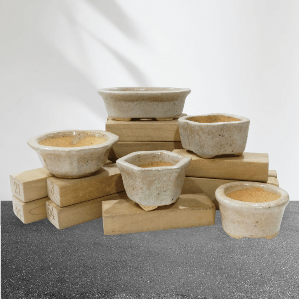 Bonsai Planter | Bonsai Pots | Buy Bonsai Pots Online in India