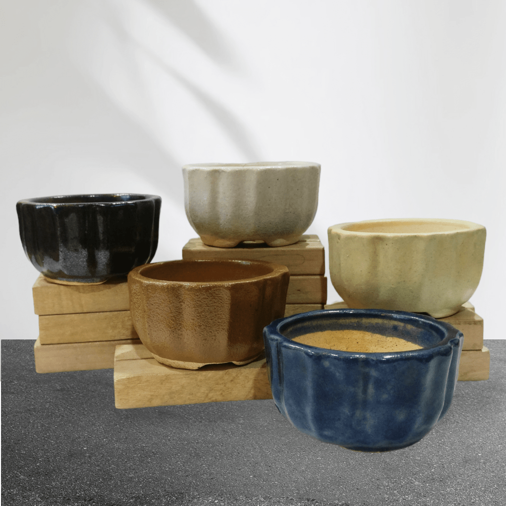 Bonsai Planter | Bonsai Pots | Buy Bonsai Pots Online in India