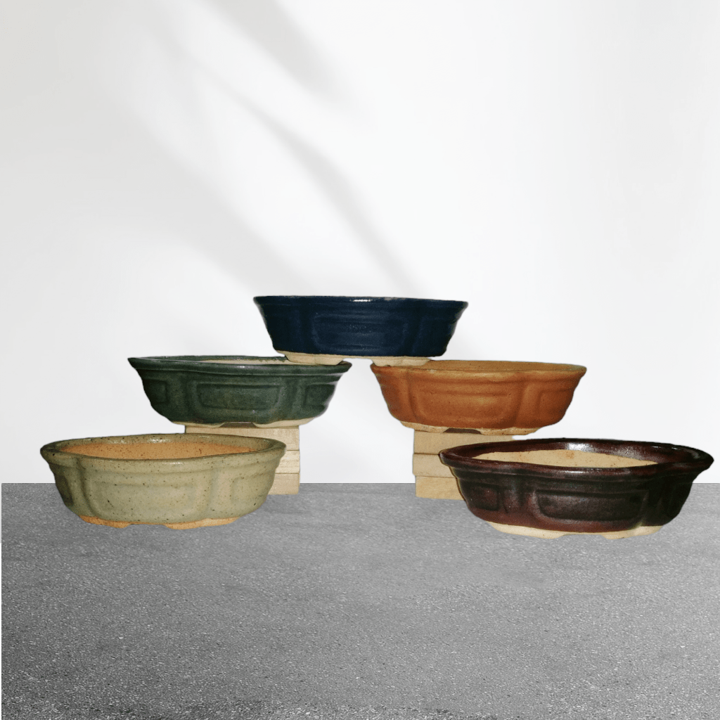Bonsai Planter | Bonsai Pots | Buy Bonsai Pots Online in India