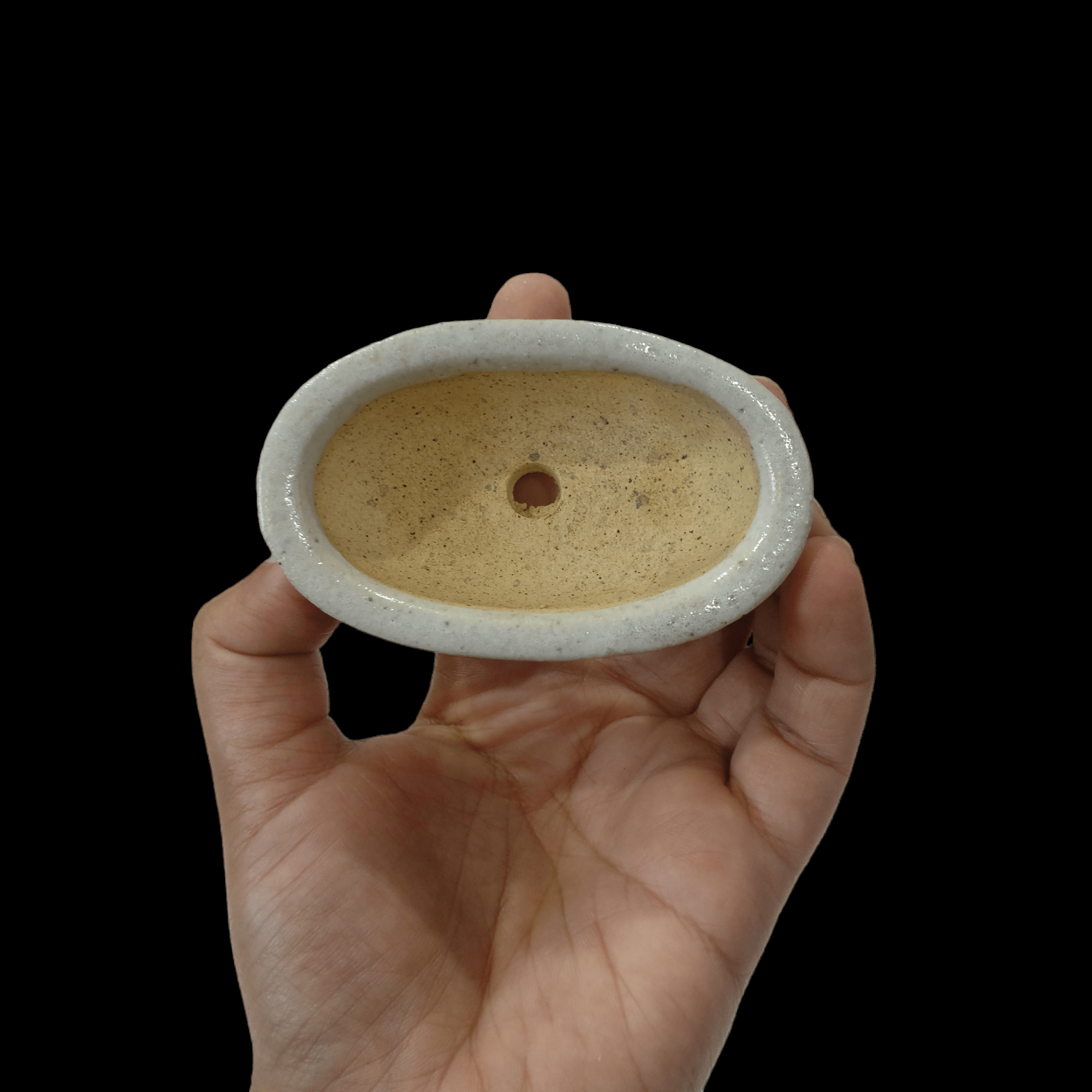 Bonsai Planter | Bonsai Pots | Buy Bonsai Pots Online in India
