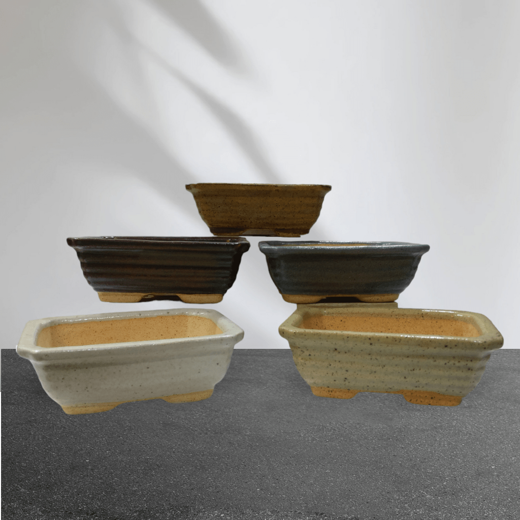 Bonsai Planter | Bonsai Pots | Buy Bonsai Pots Online in India